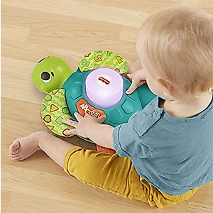 Fisher-Price Linkimals Sit-to-Crawl Sea Turtle