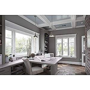 Fresnel Lens Collection 1-Light Fresnel Glass Coastal Pendant Light Brushed Nickel