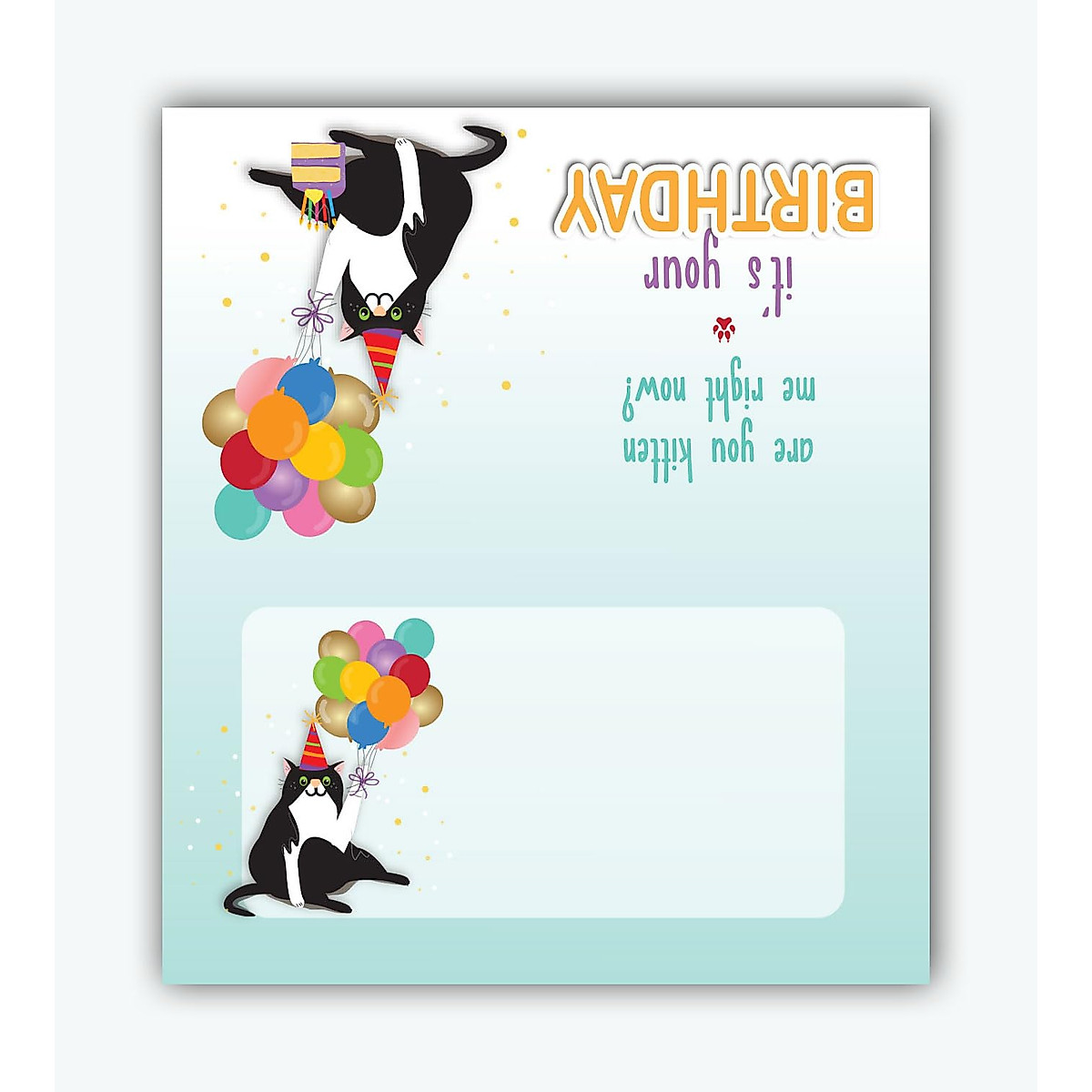 Stonehouse Collections | Happy Birthday Cat Table Tent Cards | Cat Lover Name Cards | Multi-Purpose, Table Decorations for Birthday Party | 25 Count (Tuxedo Cat Birthday)