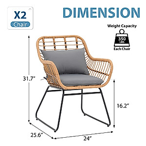 JOIVI Patio Chairs Set of 2, Outdoor Wicker Chairs with Heavy-Duty Iron Frame, All-Weather Easy-to-Clean PE Wicker, Patio Rattan Dining Chairs for Outside Lawn, Garden, Poolside, Backyard, Porch, Gray
