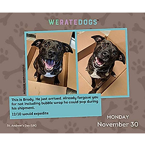 WeRateDogs 2020 Day-to-Day Calendar