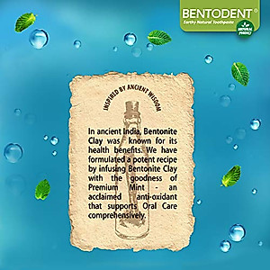 Bentodent Natural Toothpaste for Family Including Kids (Premium Mint)