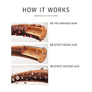 WELLA PROFESSIONALS Fusion Intense Repair Conditioner | For Damaged Hair| Hair Repair| Anti Hair Breakage| 6.7 Fl Oz