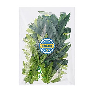 balacoo Aquarium Reptile Plants Artificial Plastic Leaves Hanging Silk Terrarium Plant with Suction Cups,Simulation Landscape Decorations for Bearded Dragons,Lizards,Geckos,Snake