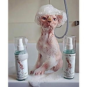 Kotomoda Probiotic Shampoo for Sphynx Cats (4.22)