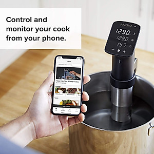 Anova Culinary Sous Vide Precision Cooker Pro, 1200 Watts, Black and Silver