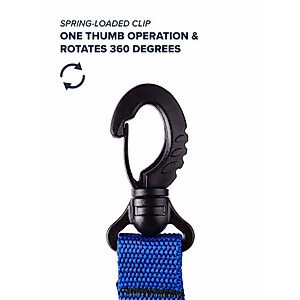 Rogue Endeavor Large, Heavy Duty Stainless Steel Game Clip Fish Stringer System + Stainless Core Coiled Lanyard. Designed for Kayak Fishing & Spearfishing. All Fish Species (Heavy Duty - Blue)