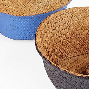 BlueMake Woven Seagrass Belly Basket for Storage, Laundry, Picnic, Plant Pot Cover, and Grocery and Toy Storage (Medium, Sand)