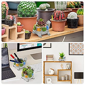 LESES Turtle Succulent Pot Planters for Indoor Plants with Drainage Hole, Flower Garden Cute Pots for Plants, Succulent, Cactus Home Office Desk Garden Decor Plant Lovers Gifts for Woman
