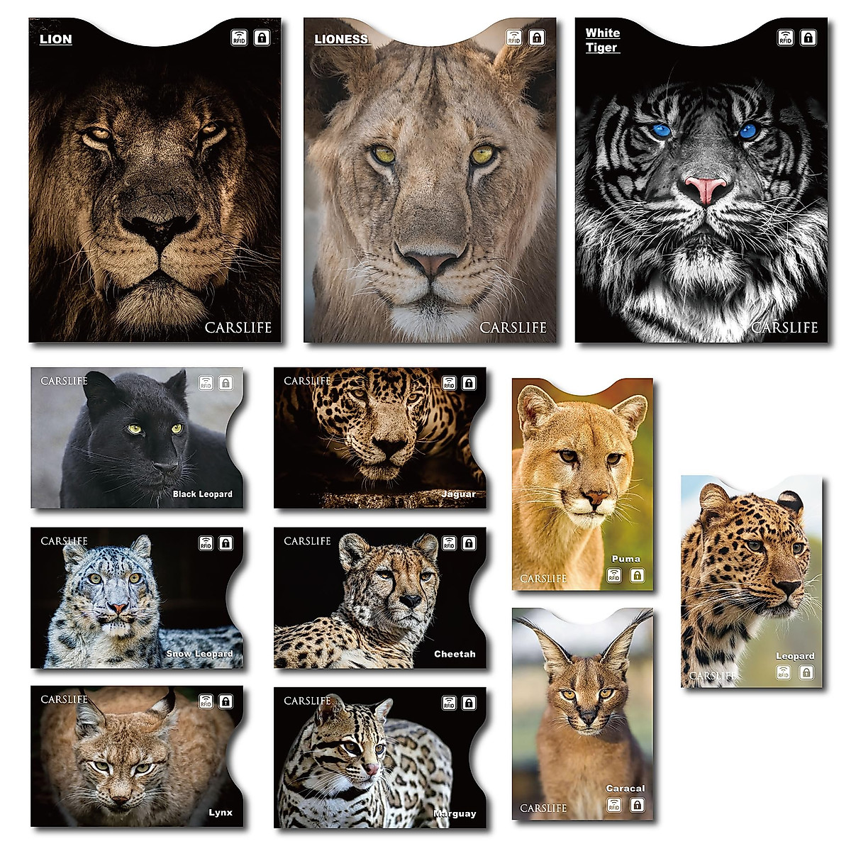 CARSLIFE 12 RFID Blocking Sleeves (9 Credit Card & 3 Passport Protectors) Premium Identity Theft Protection Secure Sleeves Travel Case Cat Design