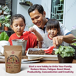 8 Onion Seeds Variety Pack Heirloom, Non-GMO, Onion Seed Sets for Planting Indoors, Outdoors Gardening. 1600+ Seeds: Walla Walla, Green Onion, Red Burgundy, White & Yellow Sweet Spanish Onions & More