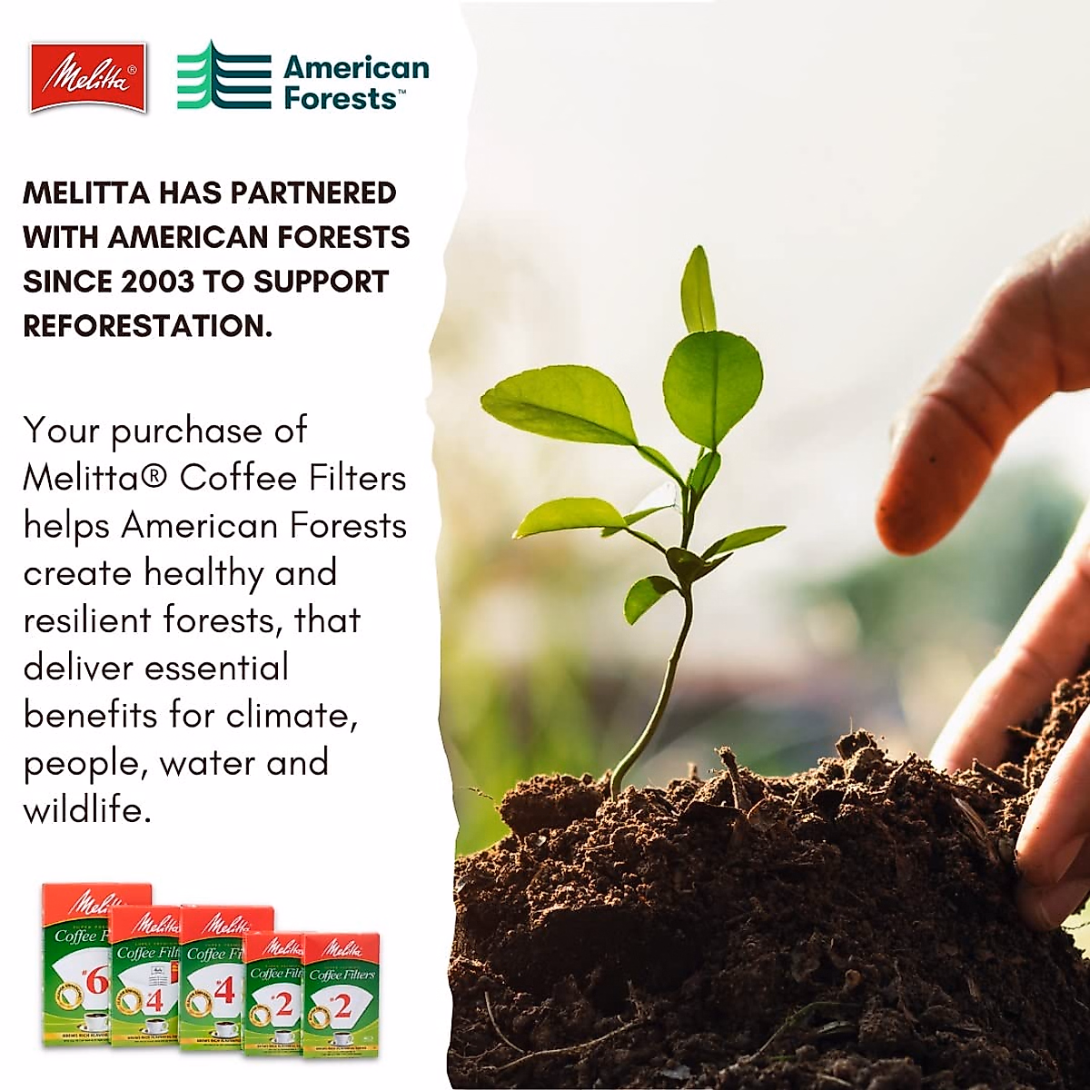 Melitta #2 Cone Coffee Filters, Unbleached Natural Brown, 100 Count (Pack of 6) 600 Total Filters Count - Packaging May Vary