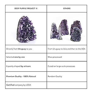 DEEP PURPLE PROJECT Amethyst Crystal Geode Spiritual Healing Rocks Cluster Quartz Stone (250 grams or less, Amethyst Purple)