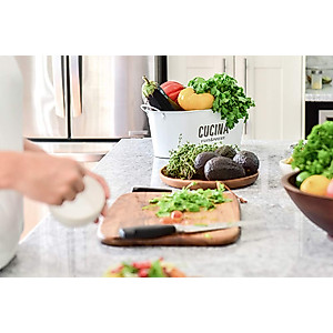 Fruits & Passion [Cucina Coriander & Olive Oil Hand Soap, (16.9 fl oz) - Luxury Kitchen Liquid Hand Soap, Vegan, Natural Moisturizing Hand Wash in Glass Hand Soap Dispenser