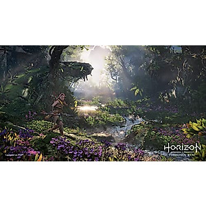 Horizon Forbidden West (PS5)