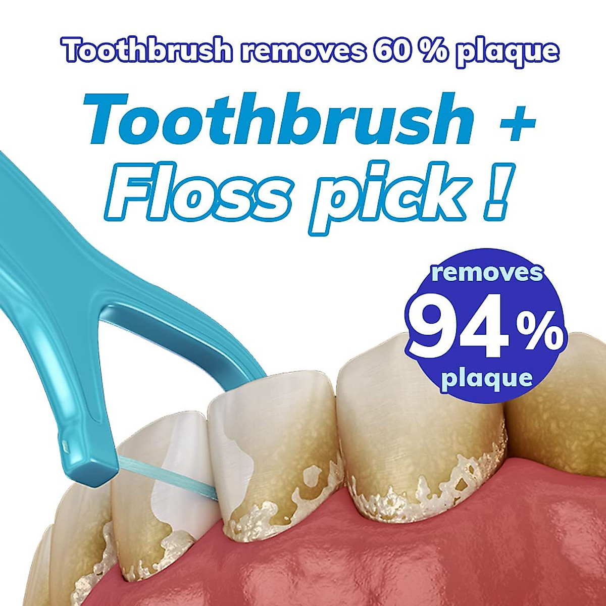 Toothnote Portable Dental Floss Picks, Tooth Picks, Eco-Friendly High Toughness Biodegradable Floss Sticks - Individual Package for Daily, Travel, Camping, School - Mint Flavor 1Box (45pcs)