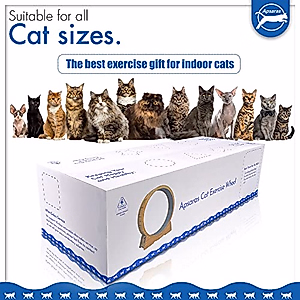 HYPULY Cat Exercise Wheel for Indoor Cats, Large 42.5 Inch Cat Treadmill Exerciser for Fitness and Healthy, Suitable for Most Cats