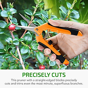 iPower GLPRNR6ORV1 6.5 Inch Gardening Pruning Shears Hand Scissors with Straight Stainless Steel Blades for Trimming Herbs, Flowers, Bonsai, 1-Pack, Orange