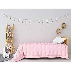 Feather Garland Decorations 10 Foot on a String Banner, Blush Pink and Gold Dipped Glitter Tipped White, Tribal Nursery, Girls Dorm Room, Boho Chic