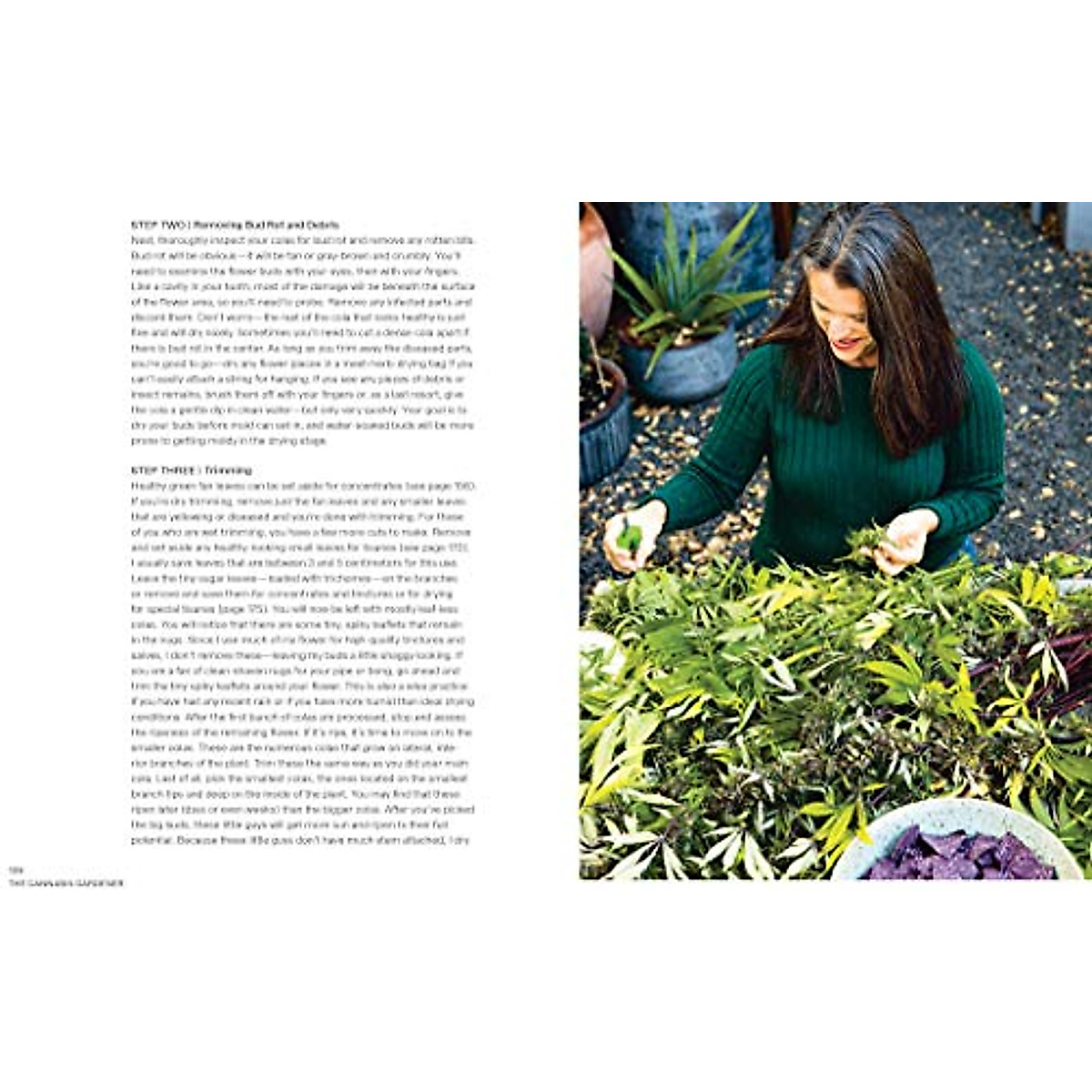 The Cannabis Gardener: A Beginner's Guide to Growing Vibrant, Healthy Plants in Every Region [A Marijuana Gardening Book]