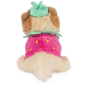 GUND Boo, The World’s Cutest Dog Strawberry Plush Toy, Pomeranian Stuffed Animal for Ages 1 and Up, Spring Decor, 5”