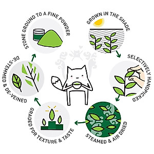 Matcha Green Tea Powder - Organic Culinary Grade Matcha, Second Harvest for Lattes & Drinks, Pure, Authentic Japanese - 125 Servings 250g Bulk Size [8.8oz] - Antioxidants, Energy & Health