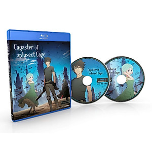 CAGASTER OF AN INSECT CAGE