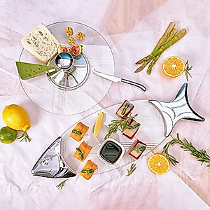 Rigeli Regent Chromeplated Salmon Glass Serving Tray Serving Platter Fish/Sushi Platter Food Trays, Fish Plate Glass+ Stainless Steel