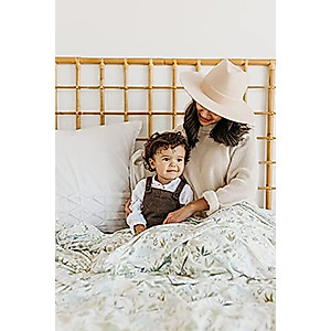 Copper Pearl Jumbo Premium Knit 3 Layer Stretchy Throw Blanket Rex