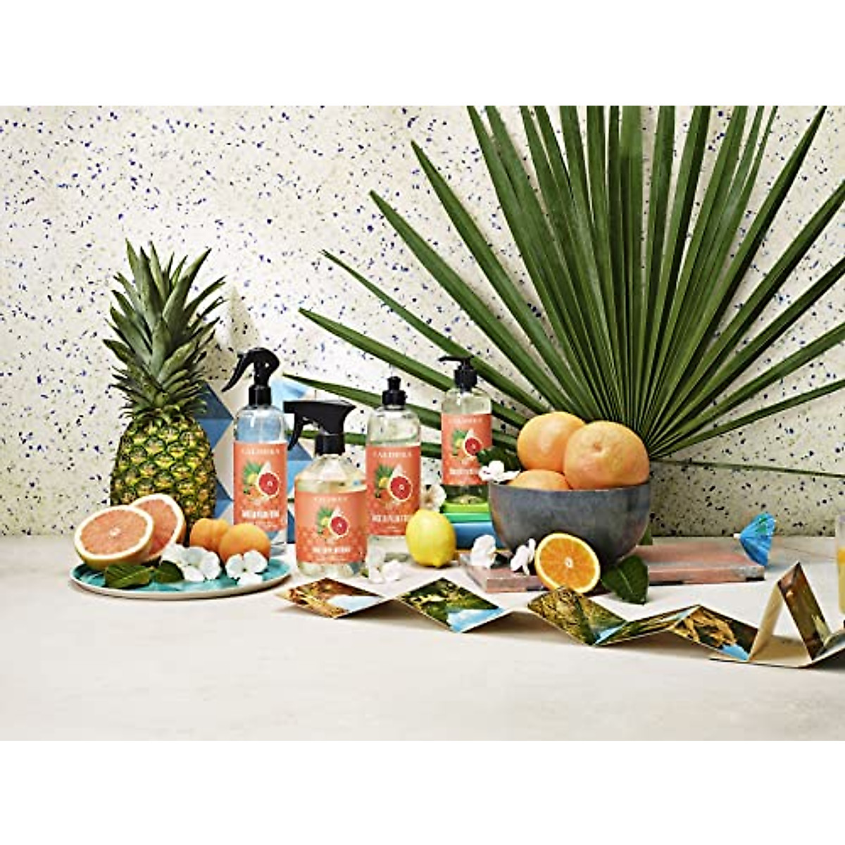 Caldrea Dish Soap, Biodegradable Dishwashing Liquid made With Soap Bark And Aloe Vera, Tangelo Palm Frond Scent, 16 Oz