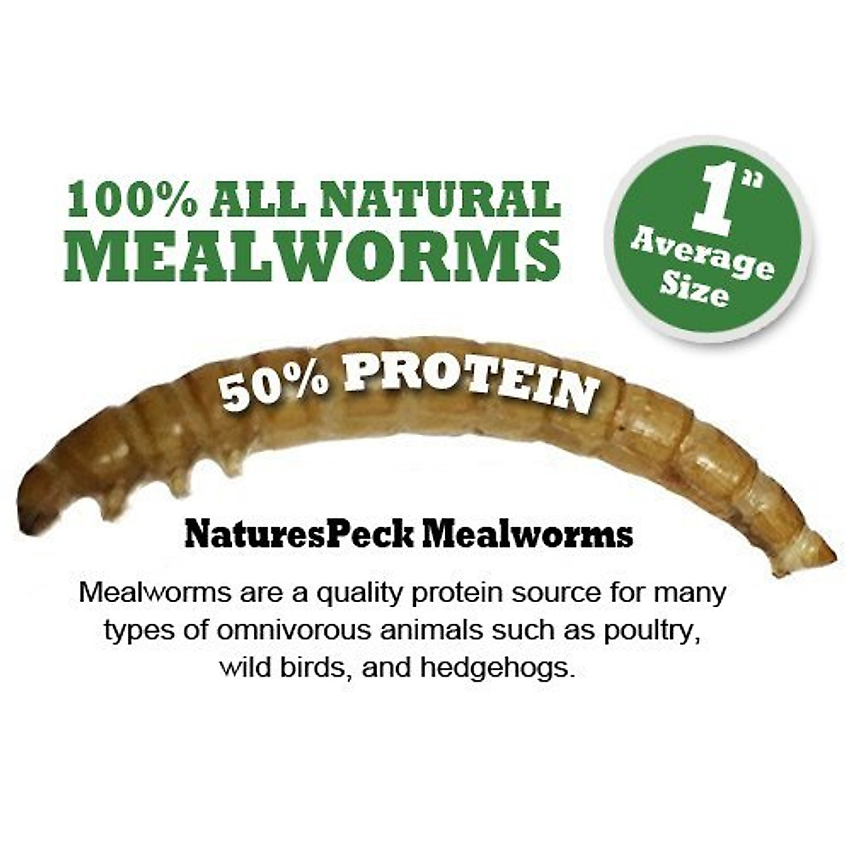NaturesPeck® Dried Mealworms (11-22-44 lbs) Non-GMO High Protein Treats for Chickens & Wild Birds