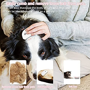 Fuigarry 2 Packs Electric Massage Cat Brushes, Hand-Held Portable Vibration Pet Brushes, Remove Loose Hair of Cats and Dogs and Sort out Tangles, Suitable for Pet Massage and Cat & Dog Play Toys. (Pink)