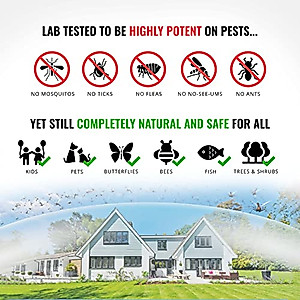 Mosquito Magician Natural Mosquito Killer and Insect Repellent Concentrate - Makes 32 Gallons of Spray for Your Yard and Patio - 1 Gallon