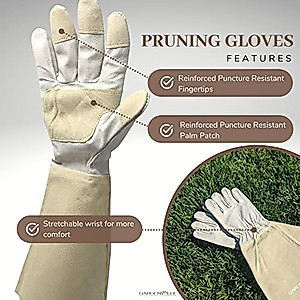 Leather Pruning Gloves (Large, Beige)