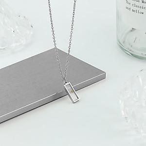 Haoze Miscarriage Gifts for Mothers Forget Me Not Seed Necklace Baby Loss Grief Sympathy Gift Child Loss Memorial Gifts Jewelry (Miscarriage Necklace-Rectangle-Silver)