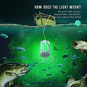 Tendelux Ultra-Bright Underwater Fishing Light, 110V & 12V Green LED Submersible Light Attractants for Docks, Boats or Kayaks, IP68 Rated for Fresh & Salt Water (30ft Cable)