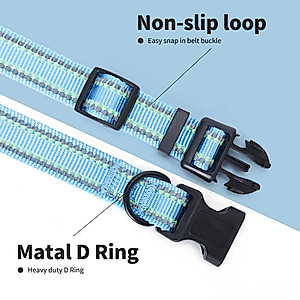 Mile High Life | Nylon Night Light Glow Collar for Medium Dogs | Reflective Band Cat Collar | Fluorescence self-Luminescence Strap Puppy Collar | Safe Night Walk Collars for Dogs (Blue, XS)