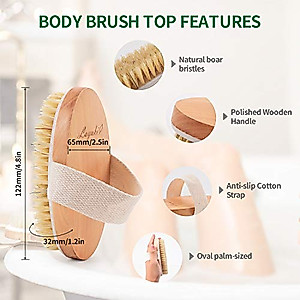 LAYUKI Body Brush for Dry or Wet Brushing and 2-Sided Foot File Scrubber Set, Body Scrubber for Bath or Shower, Exfoliating Skin, Cellulite Treatment, Foot File Scrubber with Pumice Stone