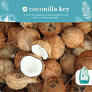 ZYFE Vitamin Hand Soap Refill - Liquid Hand Soap - Natural Plant Derived Moisturizing Handsoap with Essential Oil Fragrance Coconilla Key - Soft Hand Wash for Kitchen & Bathroom - Lush Soft Soap 64oz