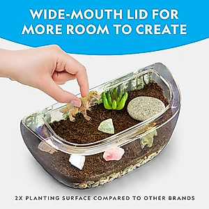 NATIONAL GEOGRAPHIC Light Up Terrarium Kit for Kids - Build a Dinosaur Habitat with Real Plants & Gemstones, Science Kit, Dinosaur Toys for Kids (Amazon Exclusive)
