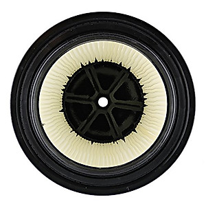 Ridgid VF4200 Genuine Replacement 1-Layer Everyday Dirt Wet/Dry Vac Filter for Ridgid 5-20 Gallon Vacuums (2 pack VF4000)