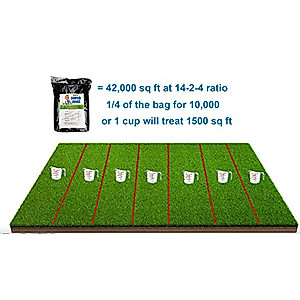 Super Juice All in One Soluble Supplement Lawn Fertilizer