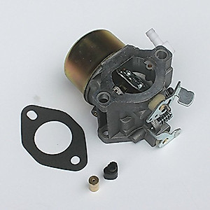 kipa Carburetor for Briggs & Stratton 497581 495782 494894 495784 494881 495778 494883 698171 697594 692684 LMT91 LMT-91 LMT 91 Lawn Boy LT10 LT12.5 Toro 10-32XL 71140 71200 Mower with Gasket