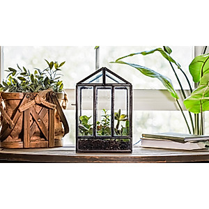 Urban Born Large Indoor Greenhouse Shape Terrarium — 10" x 6" x 10" (Black)