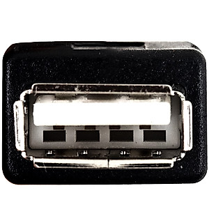 risingsaplings PC Female USB Converter Adapter Cable Cord for Original Xbox Console Gen.1 Console About 30.5in Length (1 PCS)