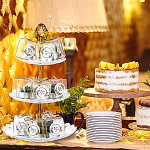 MTLEE 48 Set Cactus Tealight Candles Delicate Succulent Cactus Candles Mini Candles Plant Party Favors Gifts for Christmas Baby Shower Fiesta Birthday Anniversary Celebration Wedding Party