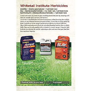 Whitetail Institute Slay Selective Broad-Leaf Weed Control Herbicide Specifically Developed for Deer Food Plots, 4 Ounces (1 acre)