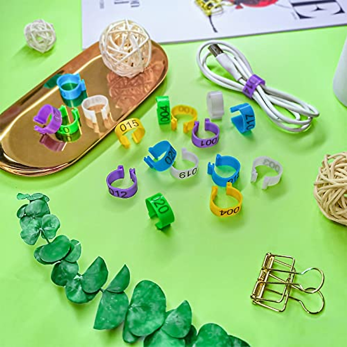 Keedolla 100Pcs 16mm Chicken Leg Rings 5 Colors Numbered Chicken Identification Leg Bands, Poultry Leg Bands Chicken Foot Rings for Ducks Chicks Bantam Guinea Pigeons Goose Gamefowl - Medium