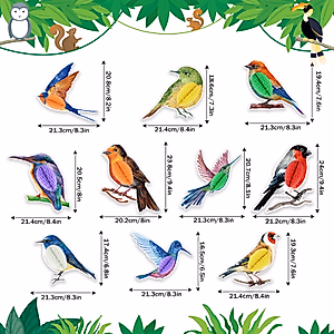 Perkoop 10 Pieces Birds Honeycomb Paper Cutouts Hawaiian Summer Rainforest Bird Party Decorations Hanging Luau Party Supplies Animal Tiki Jungle Theme Decorations for Safari Birthday