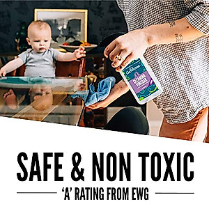 Aunt Fannie's All Purpose Cleaning Vinegar, Multisurface Spray Cleaner, 16.9 Ounces, Lavender Scent (Pack of 1)